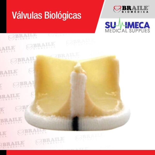 Vávula Biológica de pericardio Bovino - Sumimeca